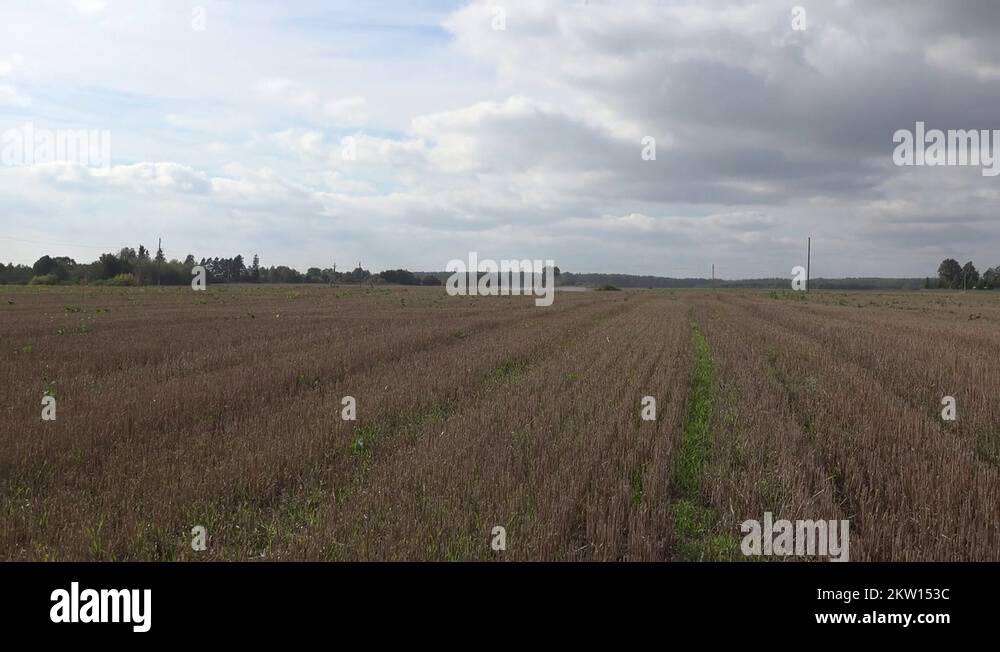 Tractor spray stubble field with herbicide chemicals in autumn. Zoom ...