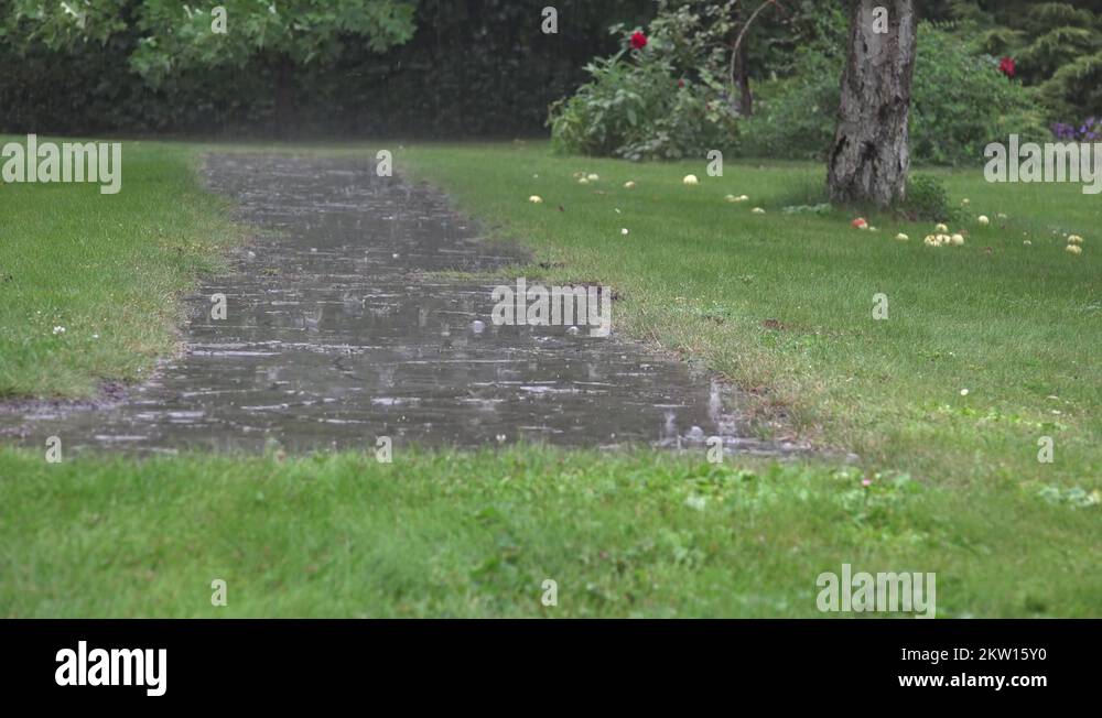 Heavy rain water drops falling on garden stone pavement and splashing ...