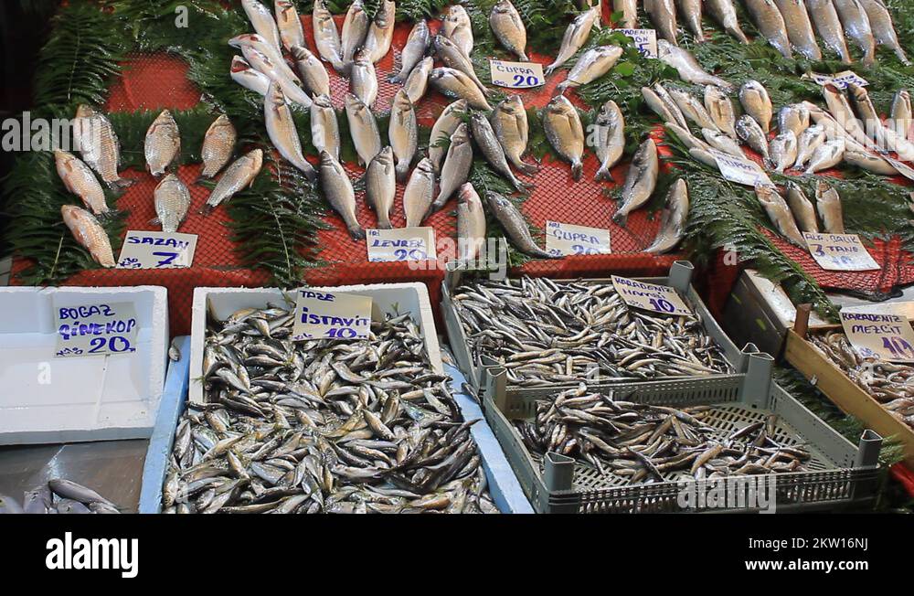 Fish stalls selling fresh catch seafood at a fish market Stock Video ...