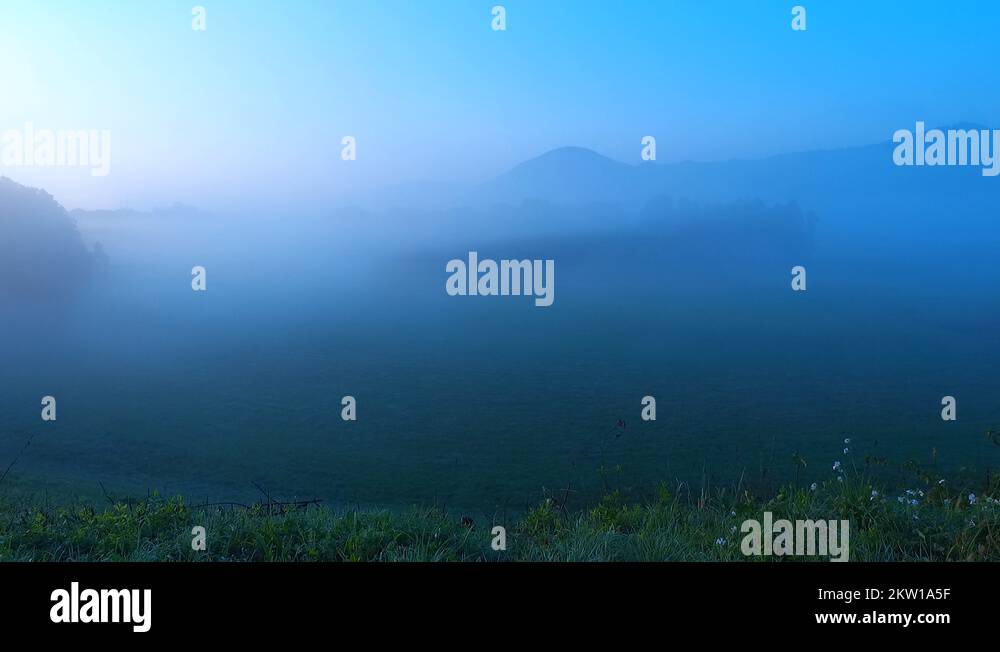 Wet forests Stock Videos & Footage - HD and 4K Video Clips - Alamy