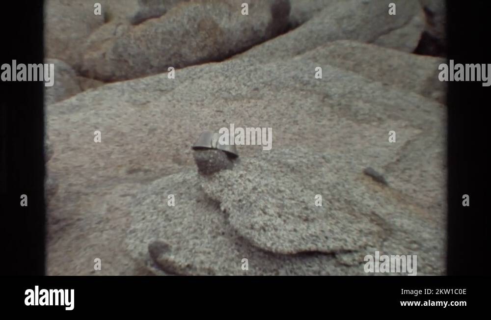 Rock with embedded stones Stock Videos & Footage - HD and 4K Video ...