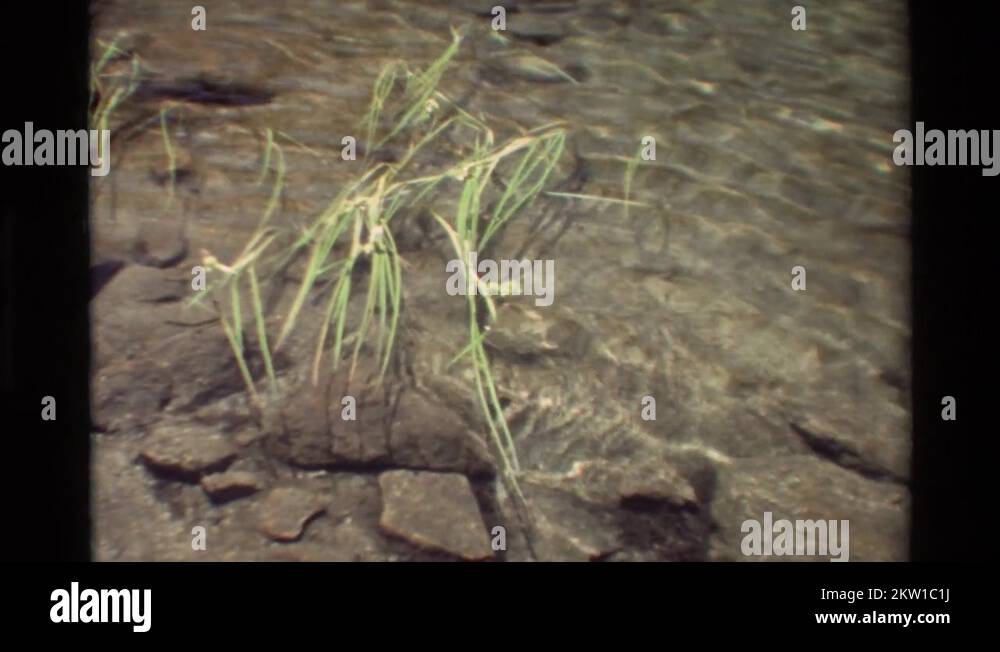 Precious resources Stock Videos & Footage - HD and 4K Video Clips - Alamy