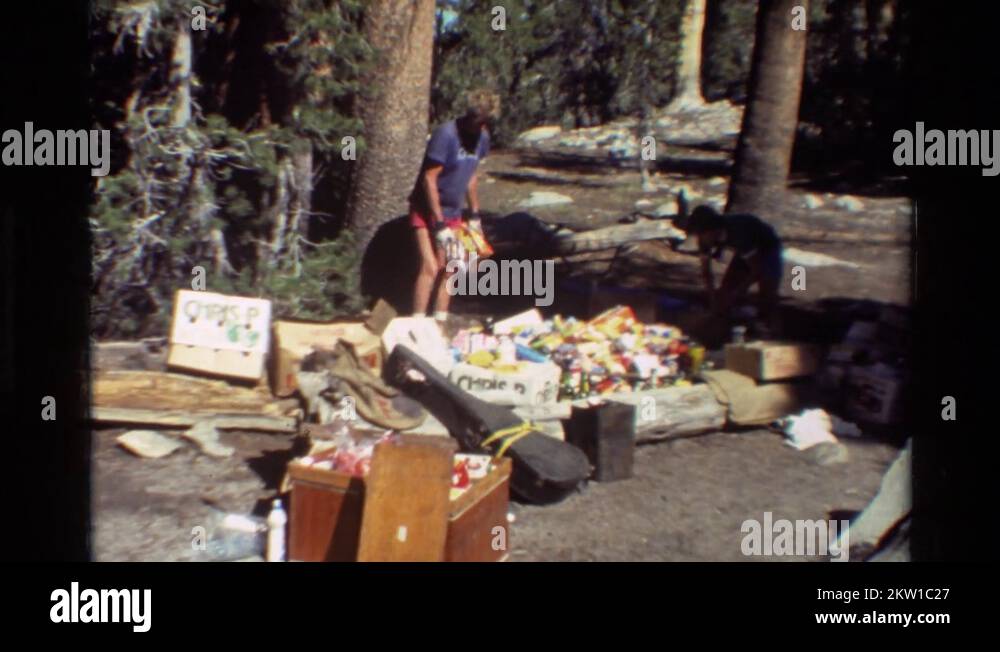 1981: two people check many different objects in a clearing of a forest ...