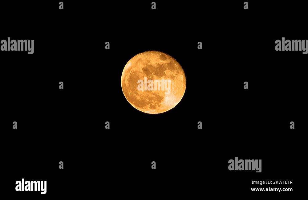 Yellow full moon night Stock Videos & Footage - HD and 4K Video Clips - Alamy