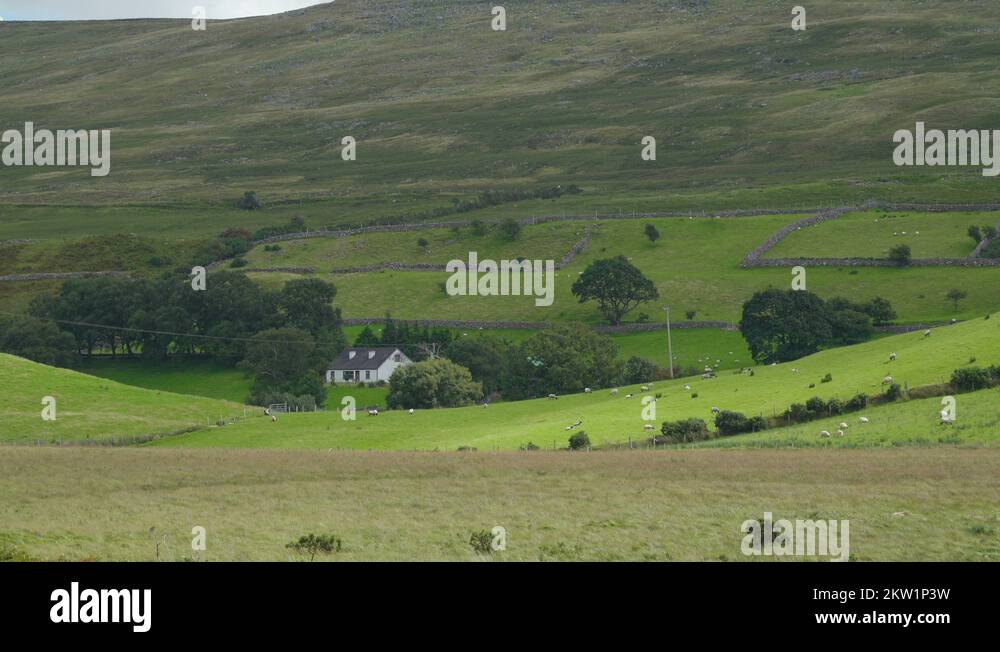 Green fields farm house Stock Videos & Footage - HD and 4K Video Clips ...