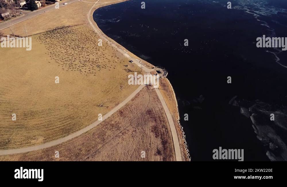 Sprawling beach Stock Videos & Footage - HD and 4K Video Clips - Alamy