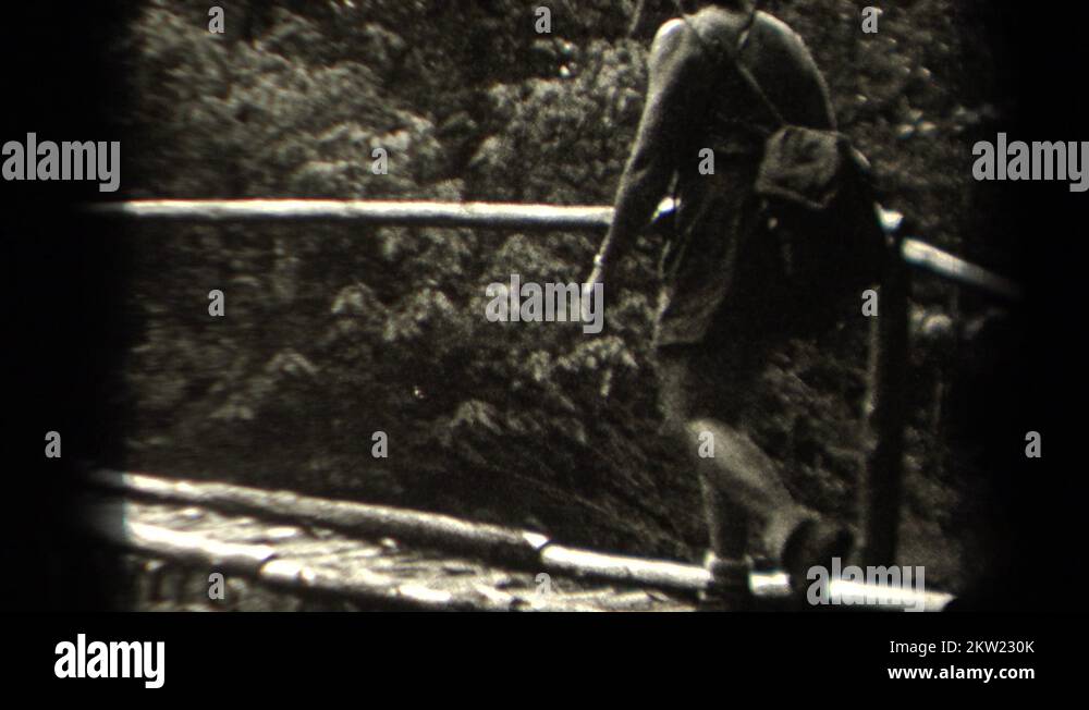 Log footbridge Stock Videos & Footage - HD and 4K Video Clips - Alamy