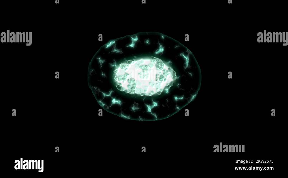 Microscopic view of mitosis, division or reproduction cell Stock Video ...