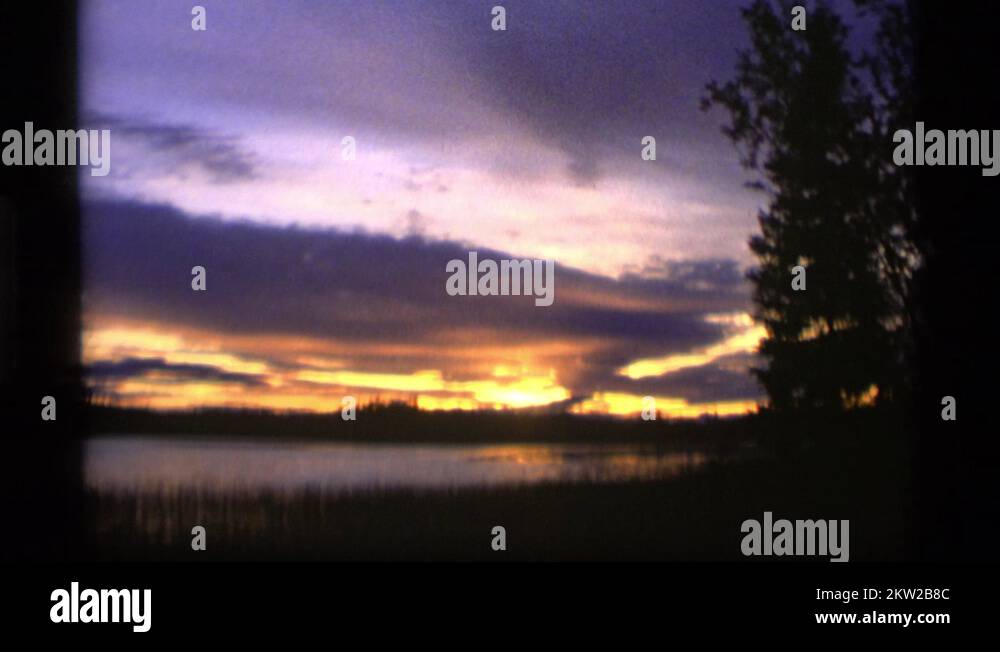 1977: the beautiful scene of sunset with number of plants around ALASKA ...