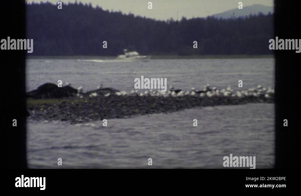 1977: a motorized boat makes its way across choppy waters GLACIER BAY ...