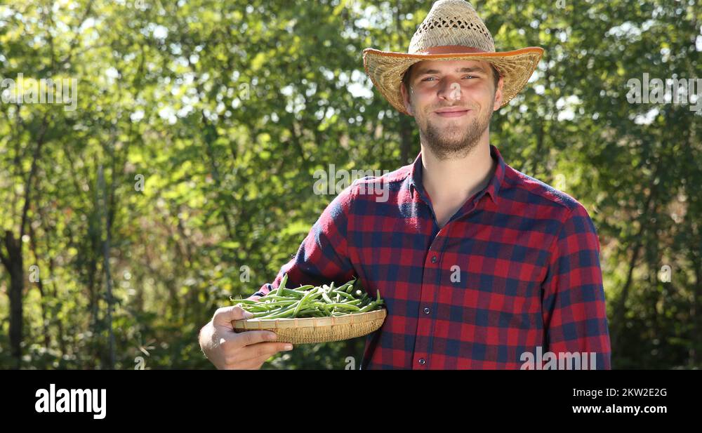 Show vegetables Stock Videos & Footage - HD and 4K Video Clips - Alamy