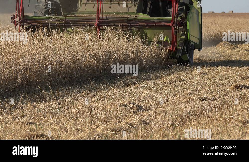 Threshing oats Stock Videos & Footage - HD and 4K Video Clips - Alamy