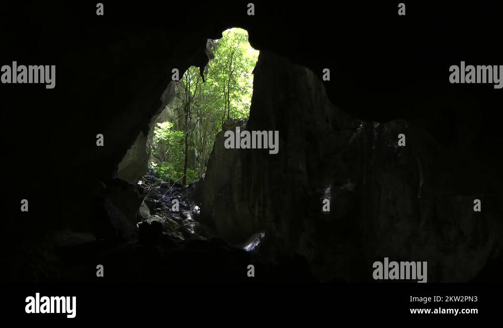 Perak cave malaysia Stock Videos & Footage - HD and 4K Video Clips - Alamy