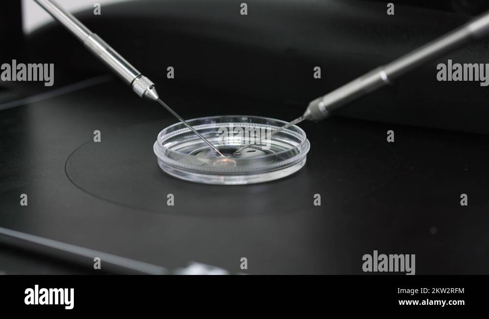 Microbiology equipment Stock Videos & Footage - HD and 4K Video Clips ...