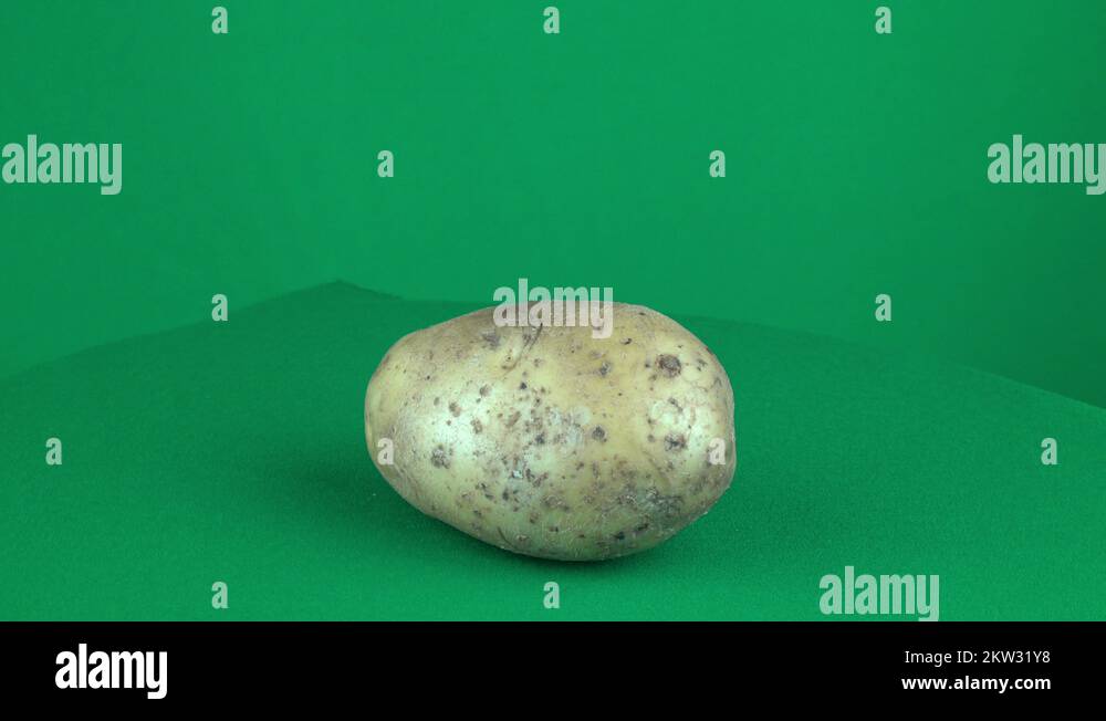 Potato Rotating in Green Screen Chroma Key Matte Stock Video Footage ...