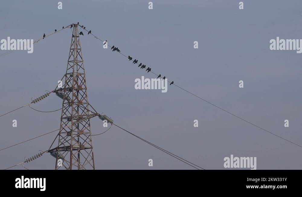 Electric pylons and wires Stock Videos & Footage - HD and 4K Video ...