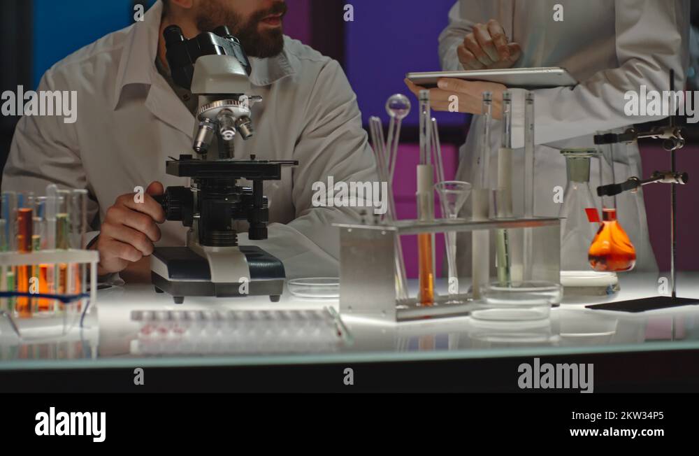 Scientists observing sample in microscope Stock Videos & Footage - HD ...