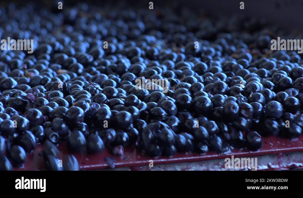 Manual table processing Stock Videos & Footage - HD and 4K Video Clips ...