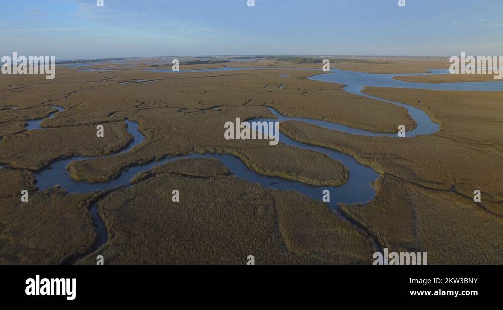 Coastal salt marsh Stock Videos & Footage - HD and 4K Video Clips - Alamy