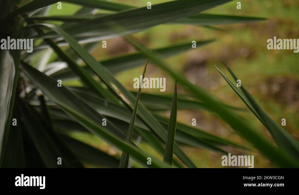 Sharp points Stock Videos & Footage - HD and 4K Video Clips - Alamy