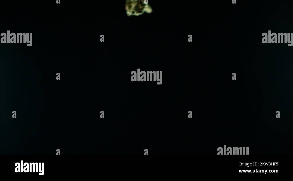 Dried weed buds falling against black background in slow motion Stock ...