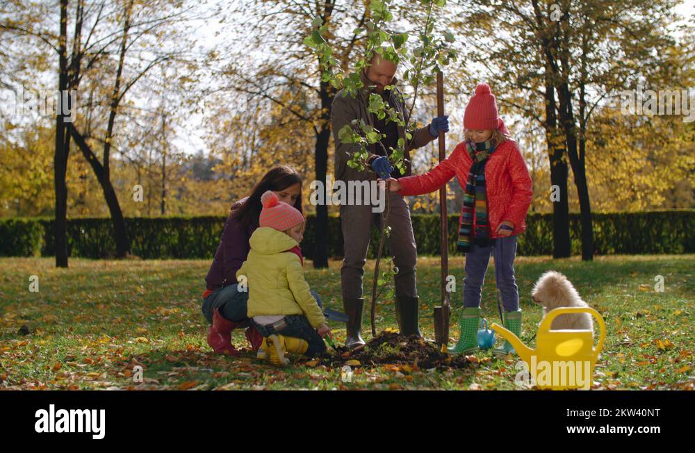 Planting family tree Stock Videos & Footage - HD and 4K Video Clips - Alamy Planting family tree Stock Videos & Footage - HD and 4K Video Clips - Alamy