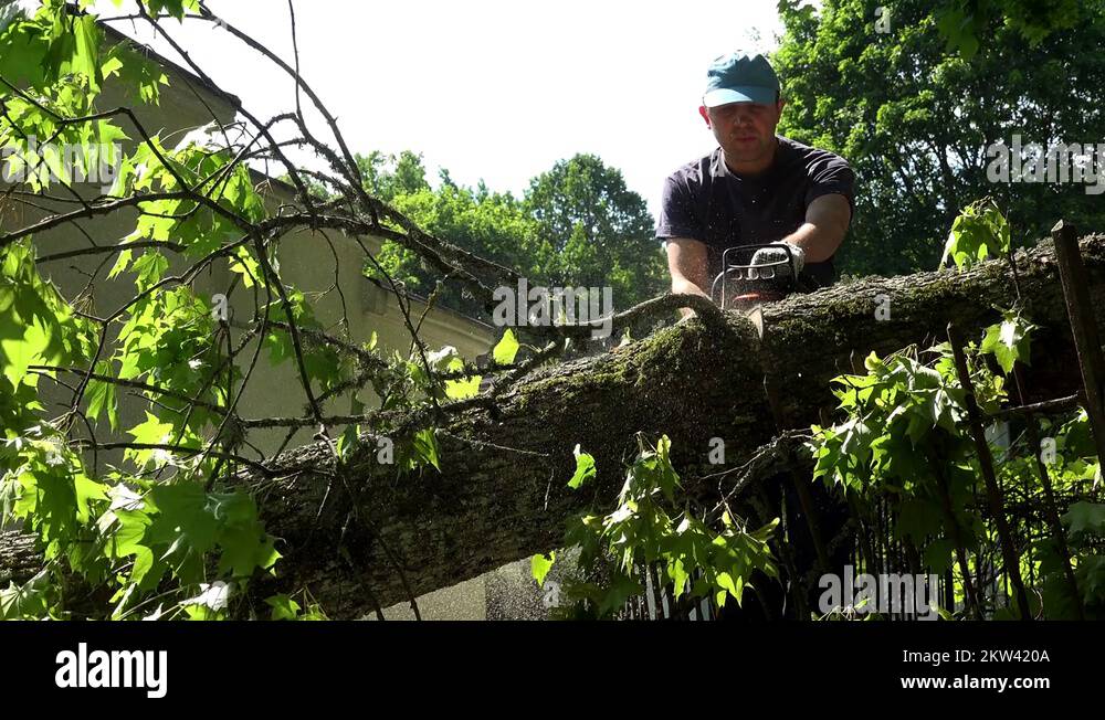 Tree cutting fence Stock Videos & Footage - HD and 4K Video Clips - Alamy