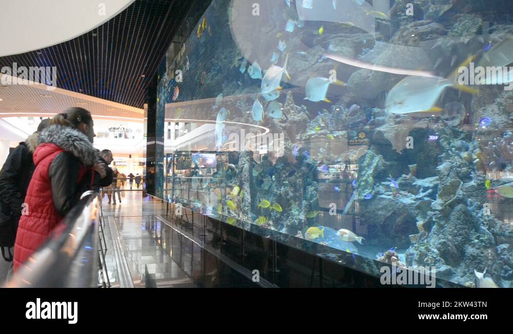 Many people looking at fish in the big aquarium in Ocean Plaza mall ...