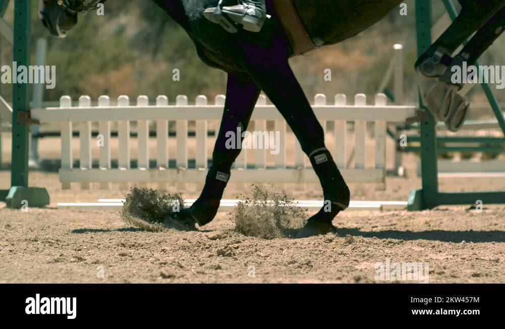 Horse landing Stock Videos & Footage - HD and 4K Video Clips - Alamy