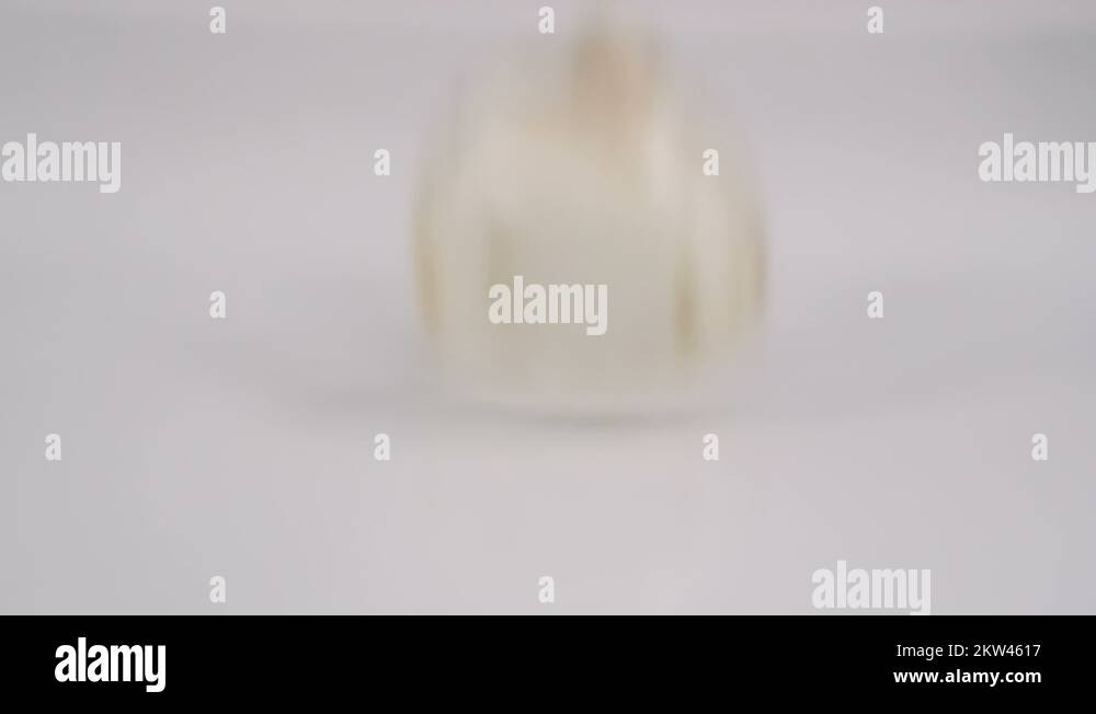 Mushrooms falling on white background into a splash of water. Filmed in ...