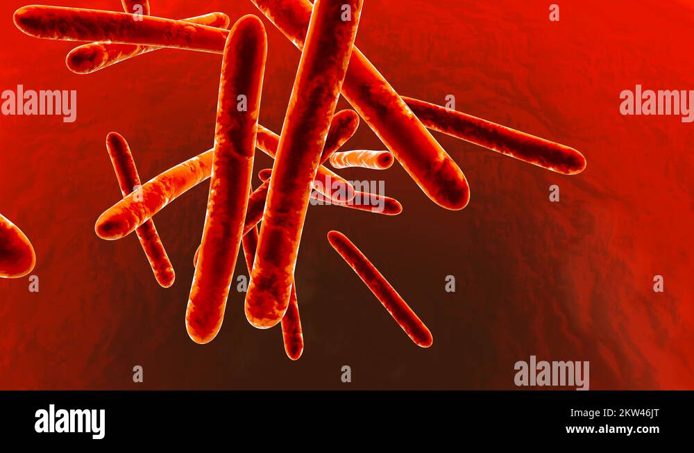 Animation of Tuberculosis bacterias infecting a body Stock Video ...
