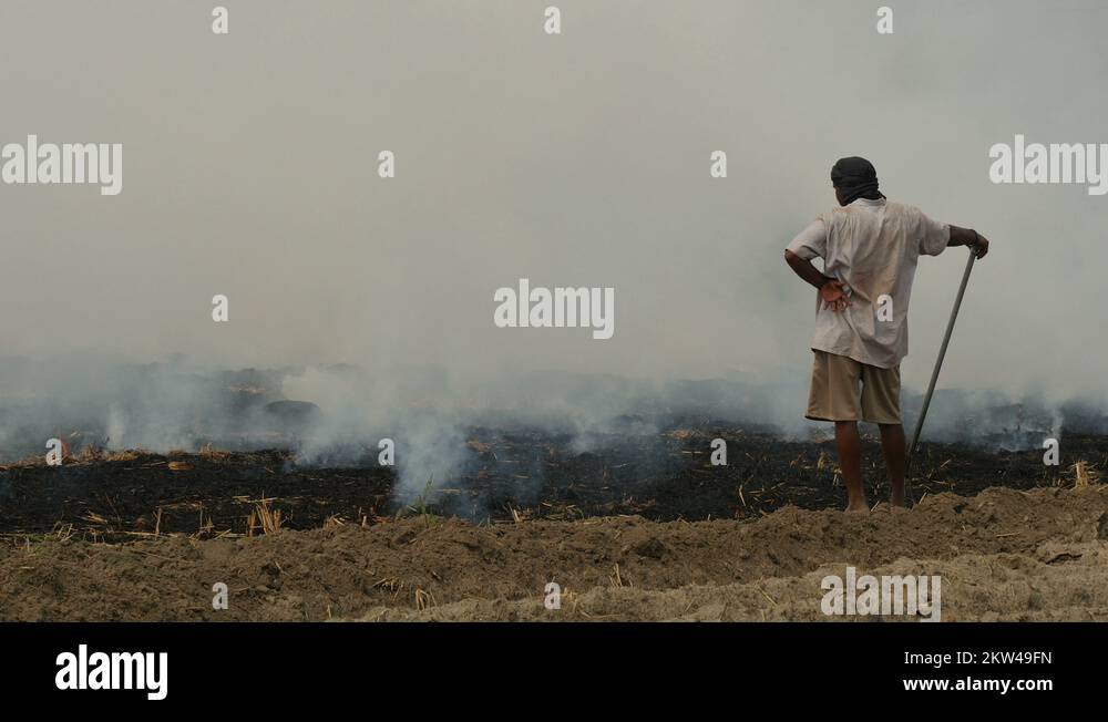 Crop burning india Stock Videos & Footage - HD and 4K Video Clips - Alamy