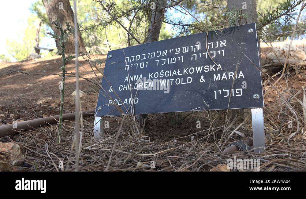 Holocaust memorial center tree Stock Videos & Footage - HD and 4K Video ...