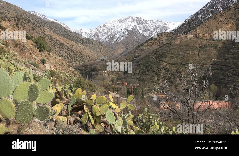 Vegetation geography Stock Videos & Footage - HD and 4K Video Clips - Alamy