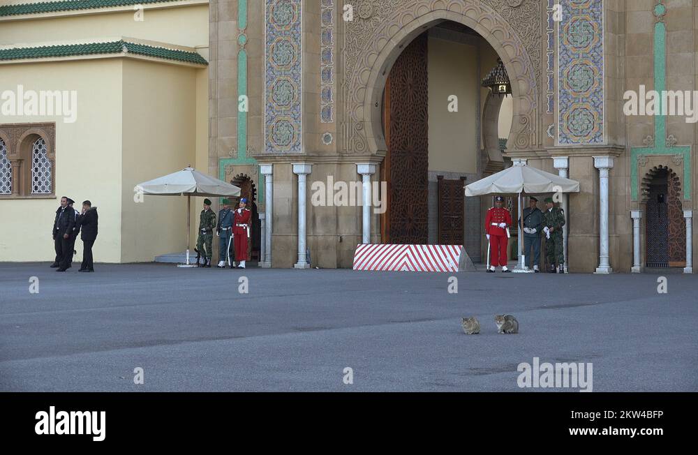 Morocco weapons Stock Videos & Footage - HD and 4K Video Clips - Alamy