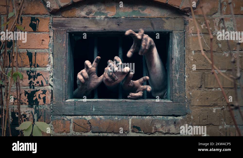 Pair of zombie hands groping through barred window in brick wall Stock ...