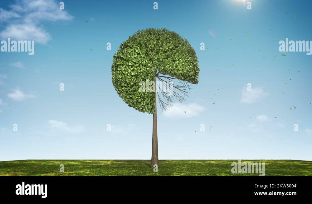 Tree pie chart Stock Videos & Footage - HD and 4K Video Clips - Alamy