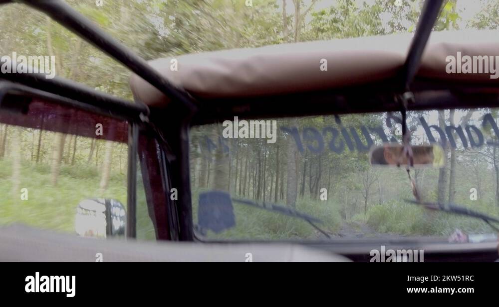 Jungle track Stock Videos & Footage - HD and 4K Video Clips - Alamy