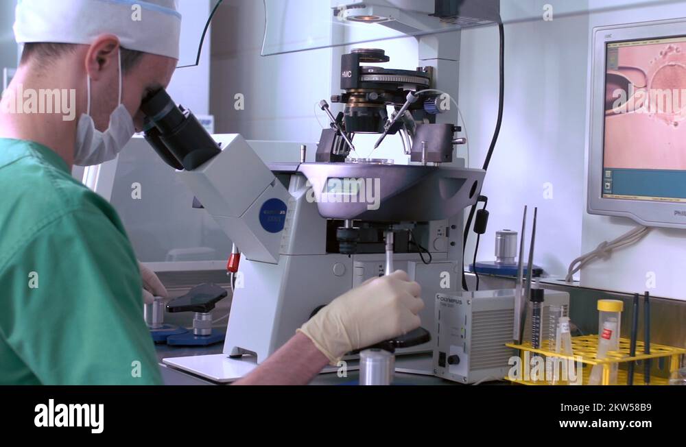 Electron_microscope Stock Videos & Footage - HD and 4K Video Clips - Alamy