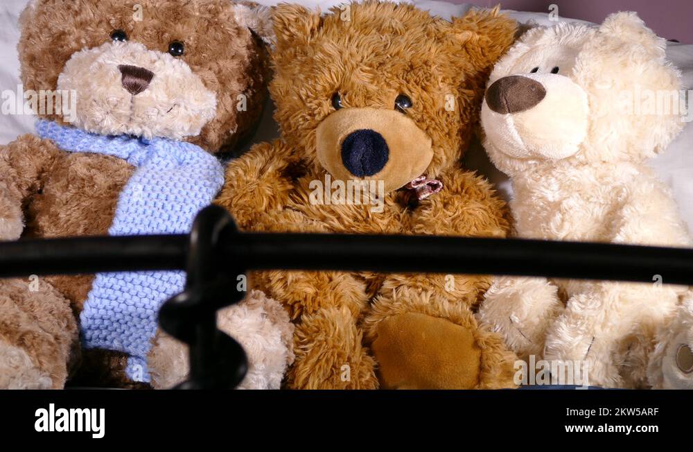 Teddies teddy Stock Videos & Footage - HD and 4K Video Clips - Alamy