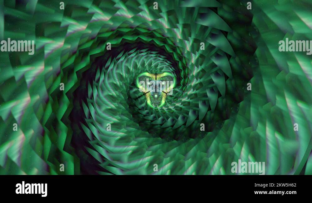 Fibonacci nature Stock Videos & Footage - HD and 4K Video Clips - Alamy