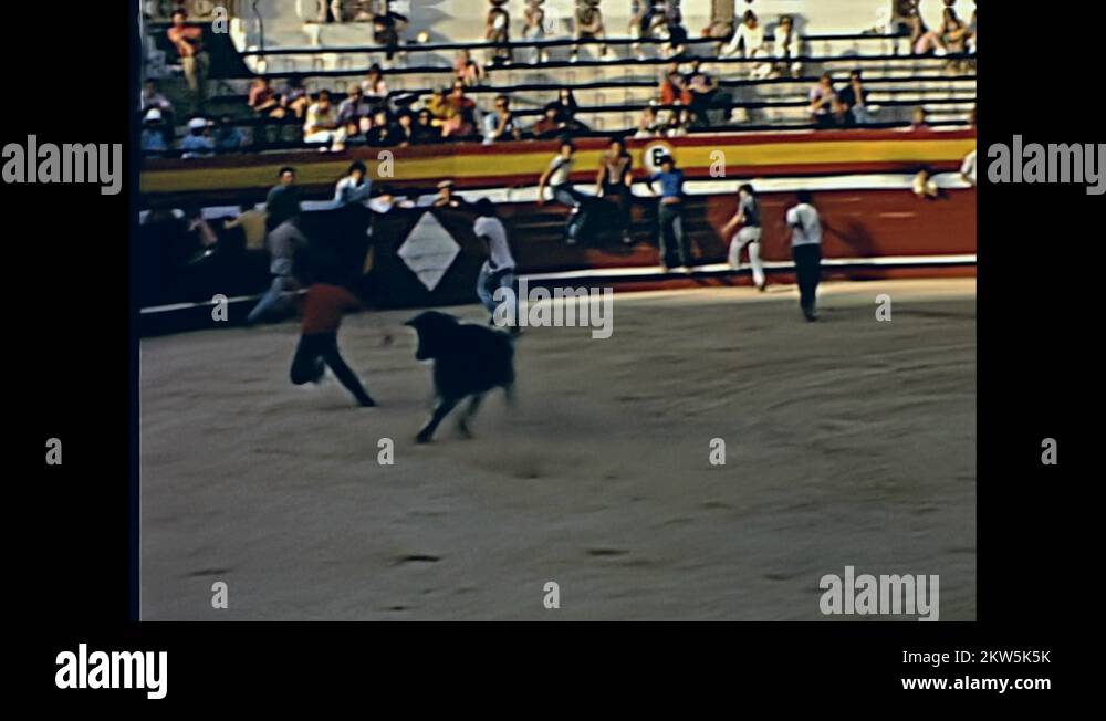 The bullfighters Stock Videos & Footage - HD and 4K Video Clips - Alamy