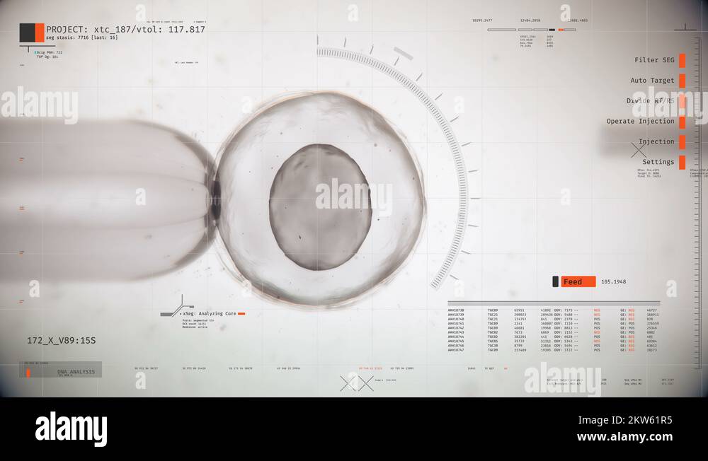 Insemination procedure Stock Videos & Footage - HD and 4K Video Clips ...