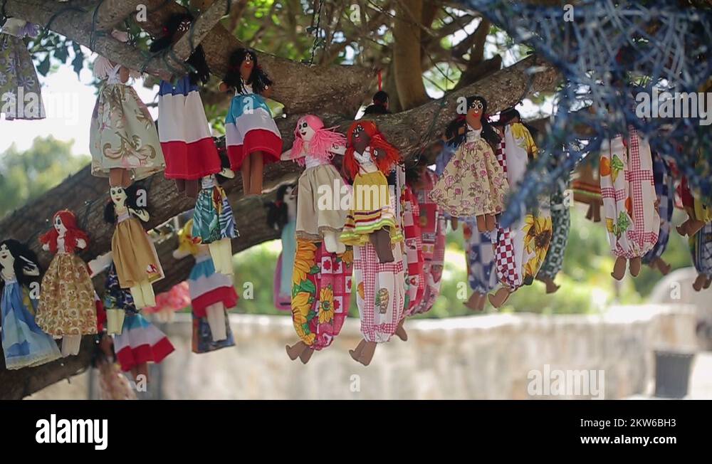 Voodoo tree Stock Videos & Footage - HD and 4K Video Clips - Alamy