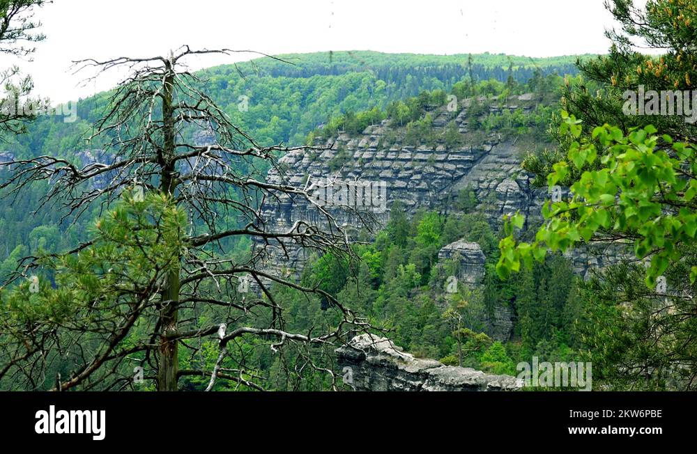 A cliff in a forest, trees in the foreground - top view Stock Video ...
