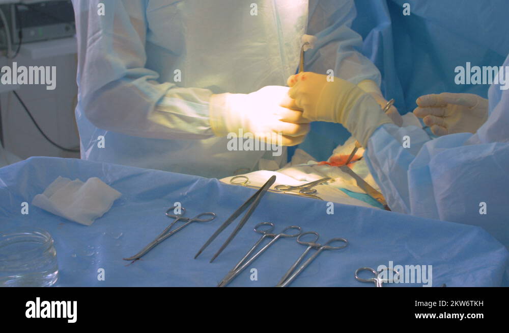 Hands wearing surgical gloves Stock Videos & Footage - HD and 4K Video ...