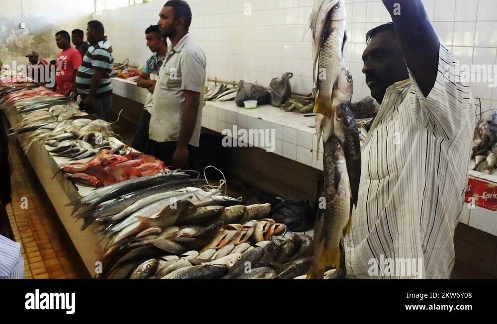 Fiji fish market Stock Videos & Footage - HD and 4K Video Clips - Alamy