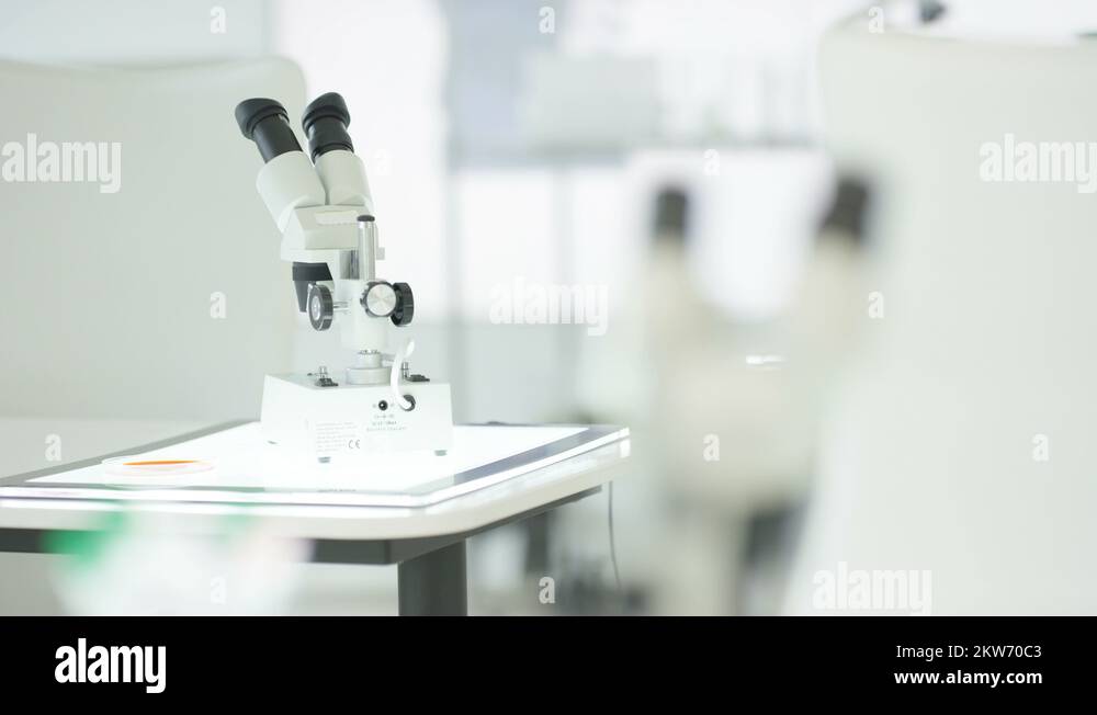 Research facility interior Stock Videos & Footage - HD and 4K Video ...