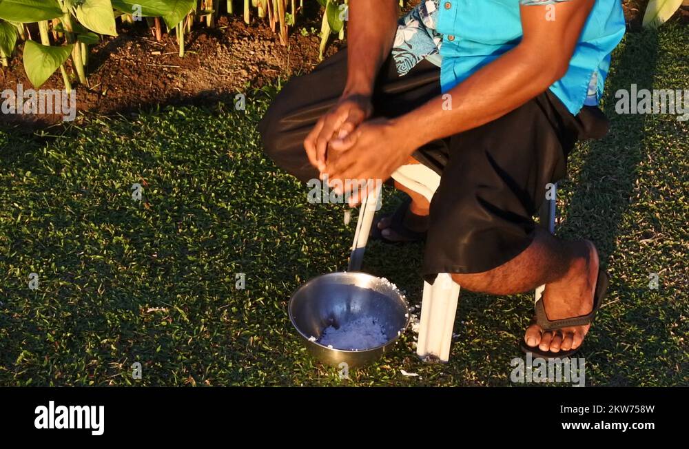 Fijian fruit Stock Videos & Footage - HD and 4K Video Clips - Alamy