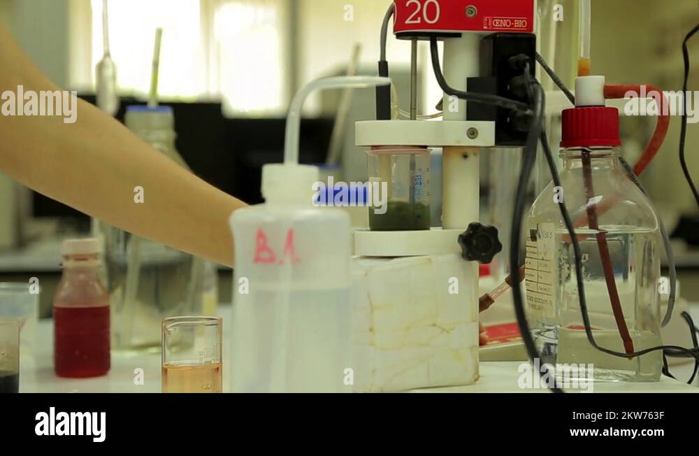 Quality control lab Stock Videos & Footage - HD and 4K Video Clips - Alamy